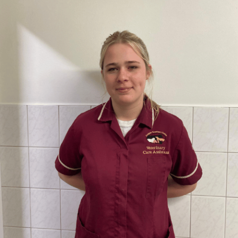 Veterinarian In Helmsley And Pickering YO62 5BZ | Ryedale Vets